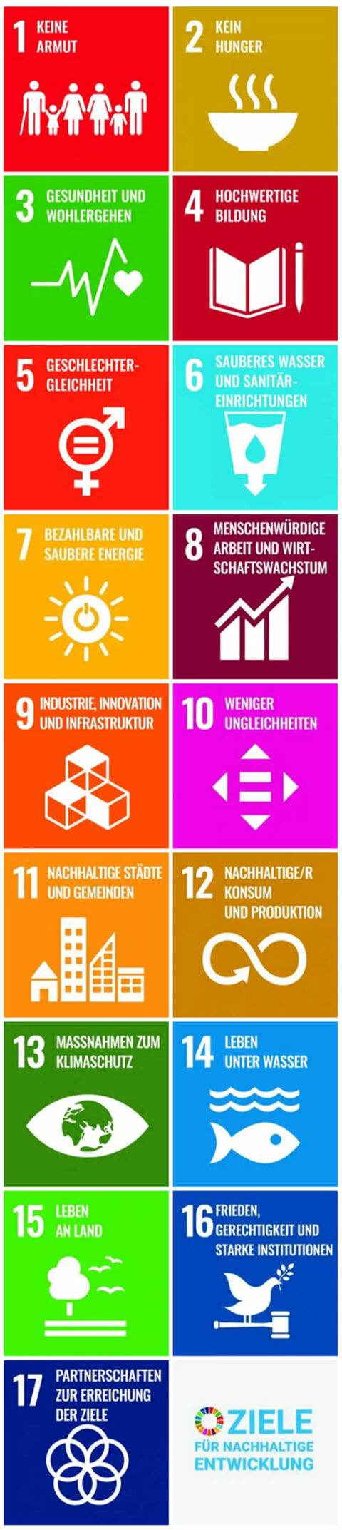 Nachhaltig investieren: Was sind die ESG-Kriterien? | FiNUM